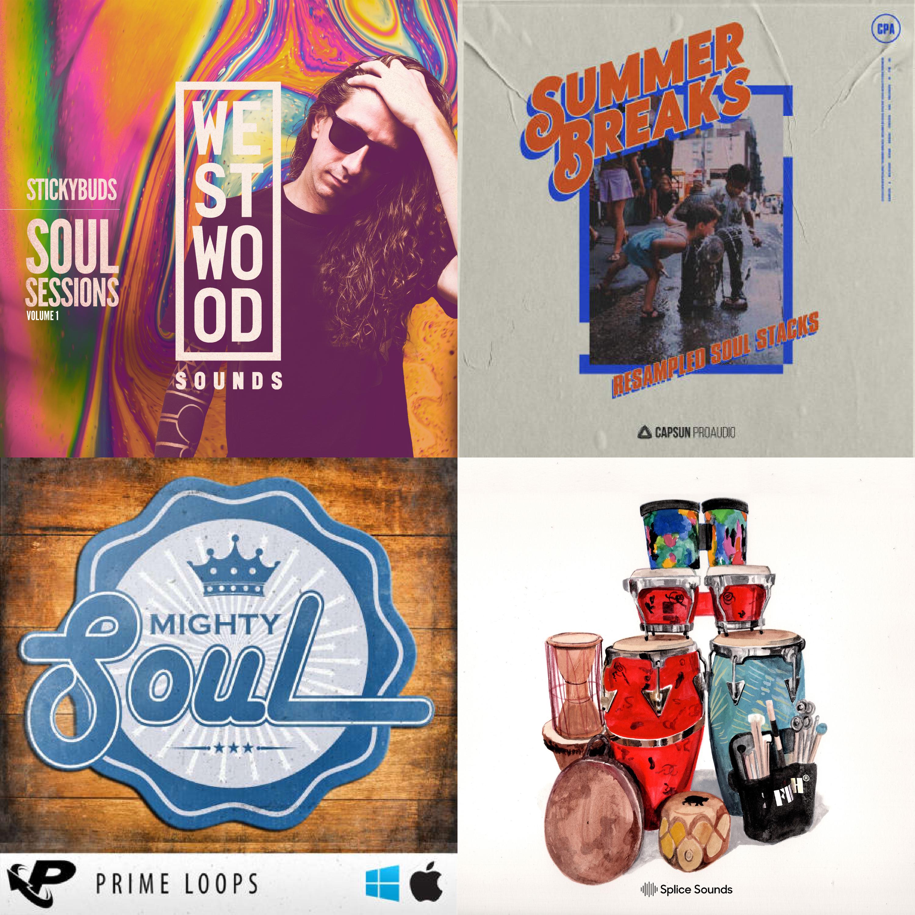 SoundMM - Sanofi Adults - Samples & Loops - Splice Sounds