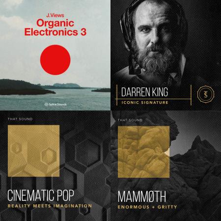 kellyeastermusic - REVERSE_FX - Samples & Loops - Splice