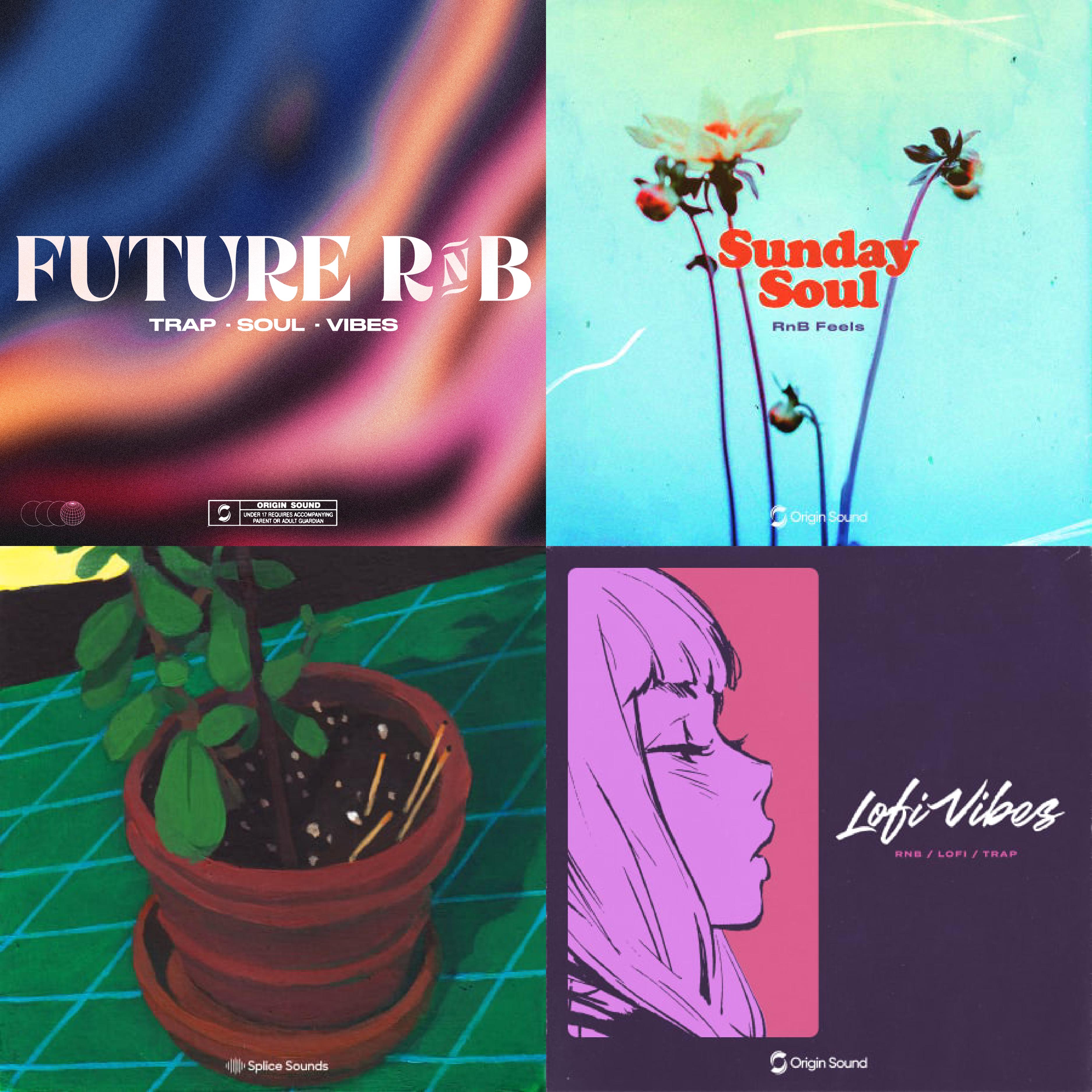 jeffbernat - JBird references - Samples & Loops - Splice