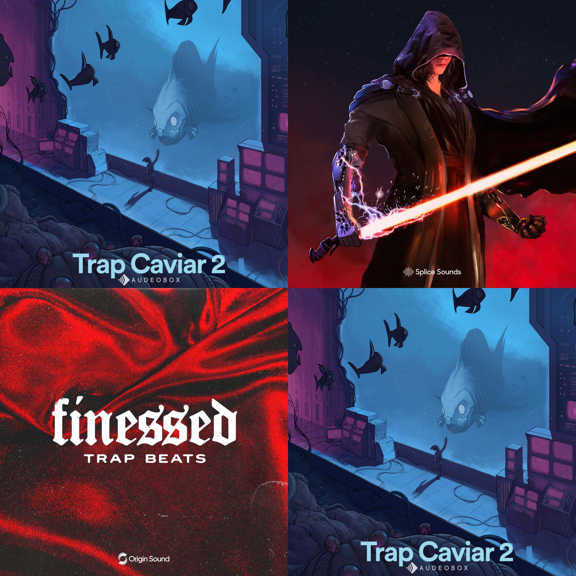 infbuckets - TC3 - Samples & Loops - Splice Sounds