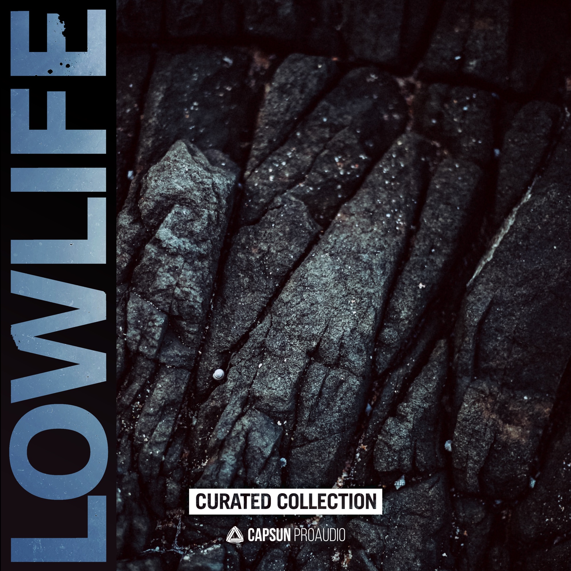 Lowlife: 808s & Sub Bass - Samples & Loops - Splice Sounds