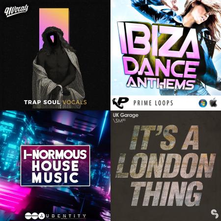 Conorhk23 - house - Samples & Loops - Splice Sounds